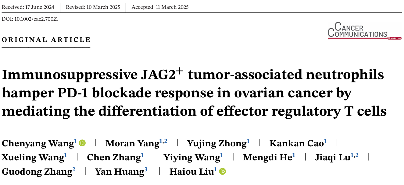 妇产科医院刘海鸥研究员团队揭示免疫抑制性JAG2+肿瘤相关中性粒细胞促进卵巢癌免疫逃逸的作用及机制